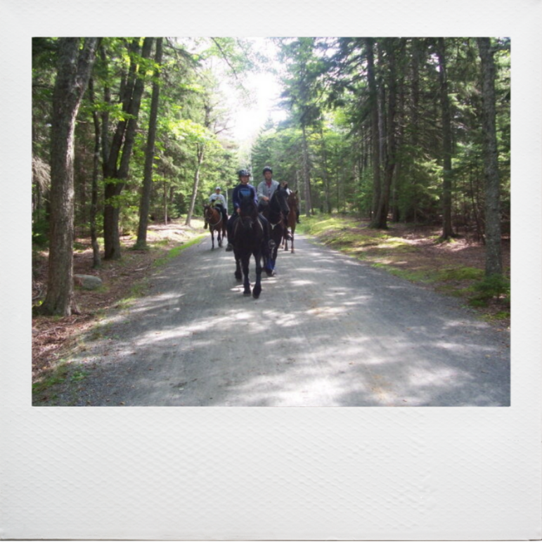 Build Confidence and Reduce Horseback Riding Nerves on a Trail Ride ...