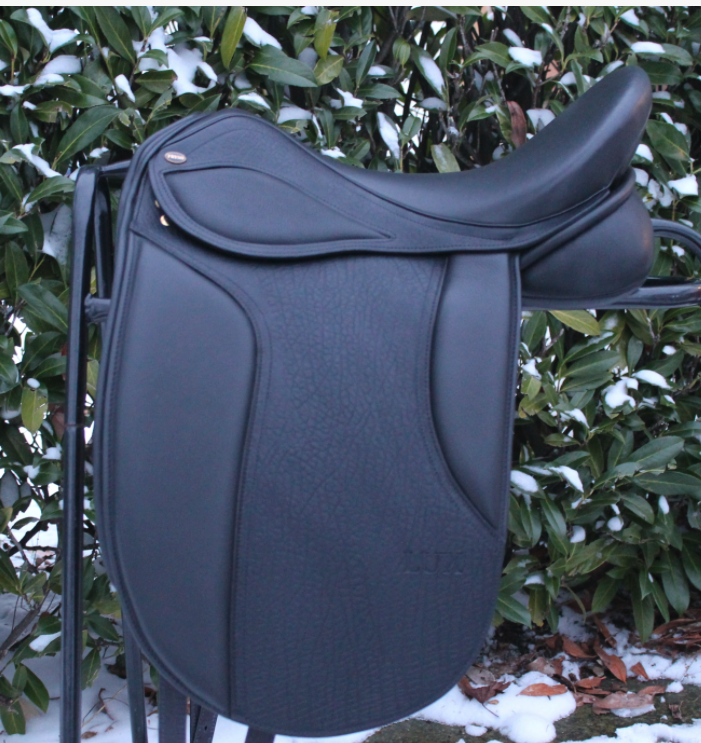 5 Tips to Easily Fix Friesian Horse Saddle Fitting Challenges ...